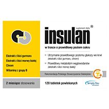Insulan tabletki powlekane 120 tabletek